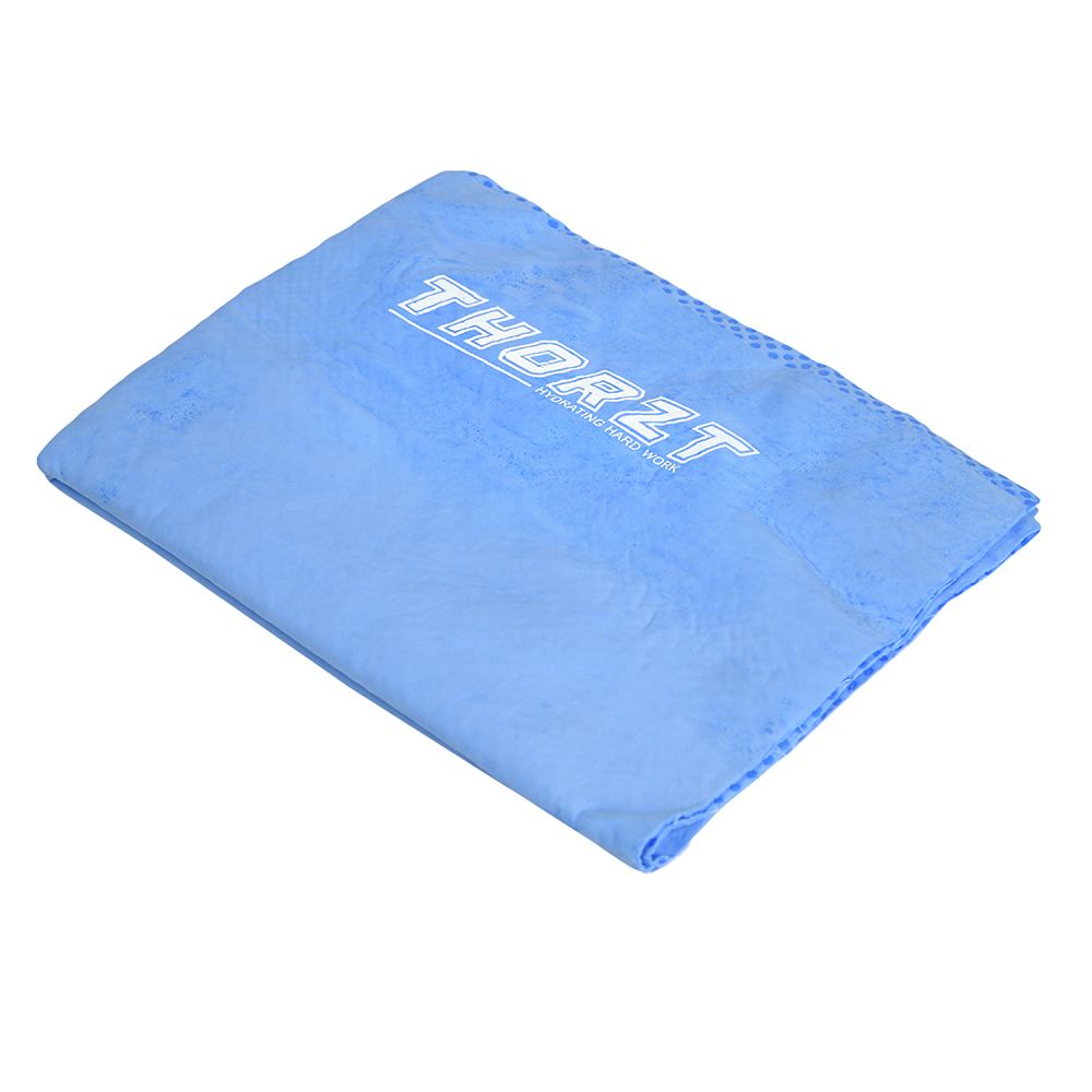 Chill Towel Blue - THORZT